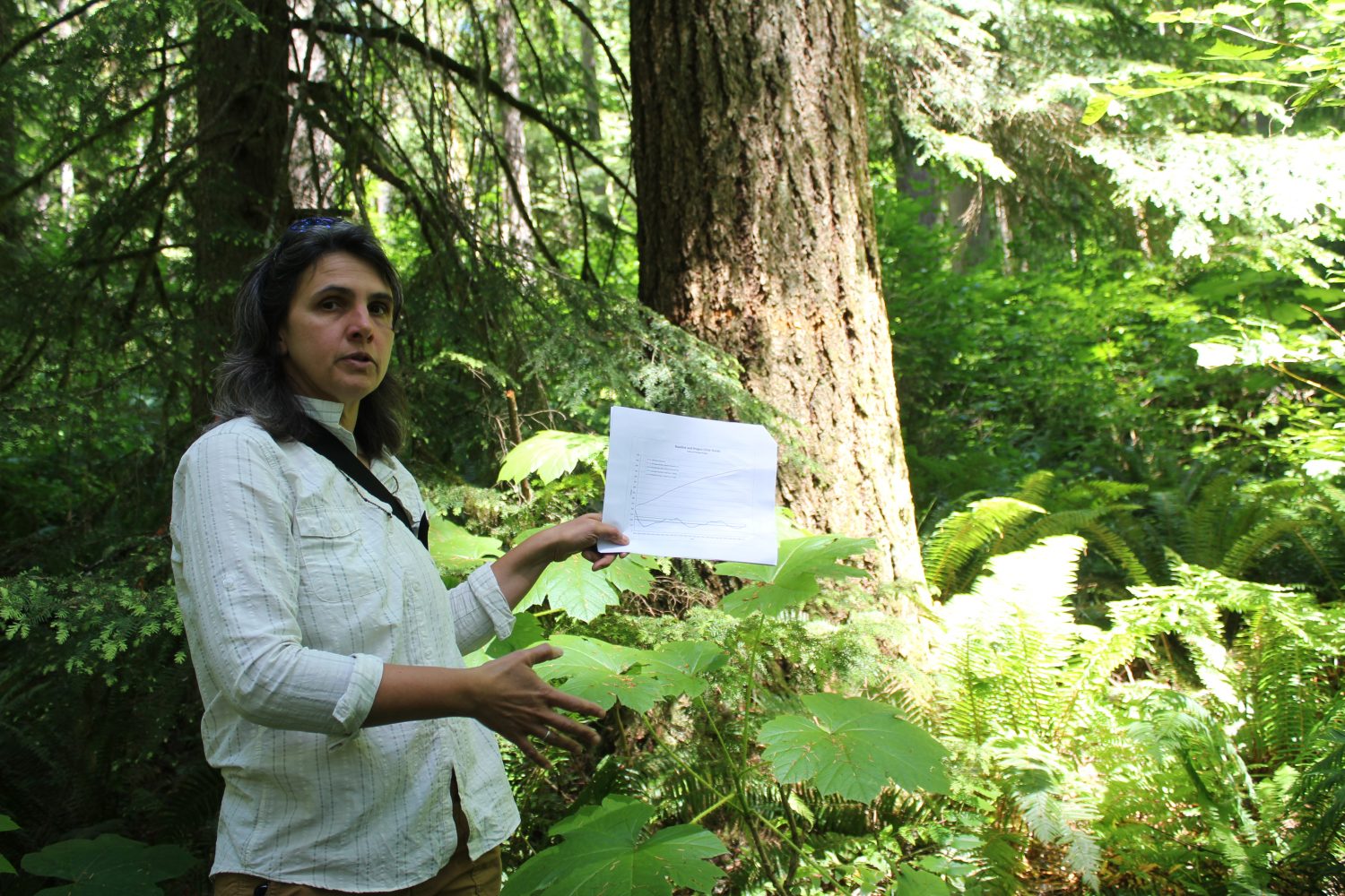 Nisqually Community Forest - Washington Conservation Action
