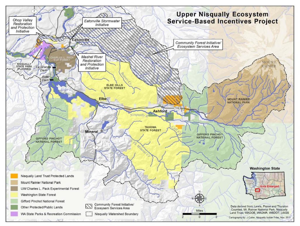 Nisqually Community Forest - Washington Conservation Action