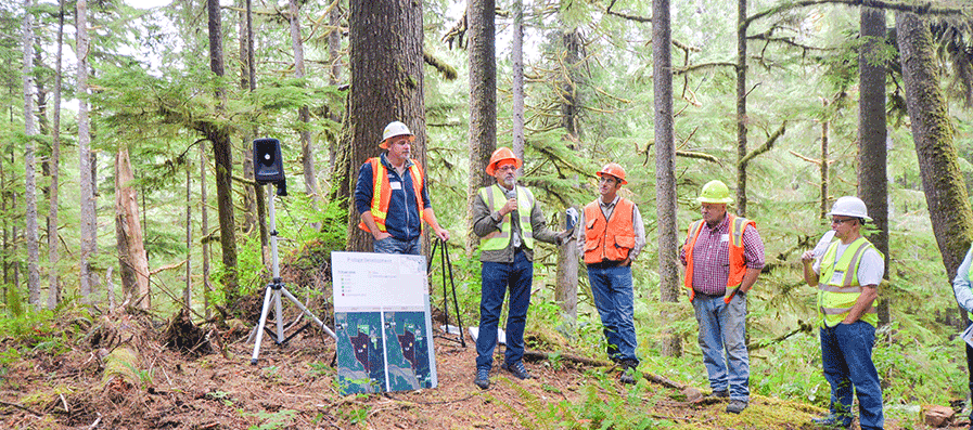 Forestry In Focus - Washington Conservation Action