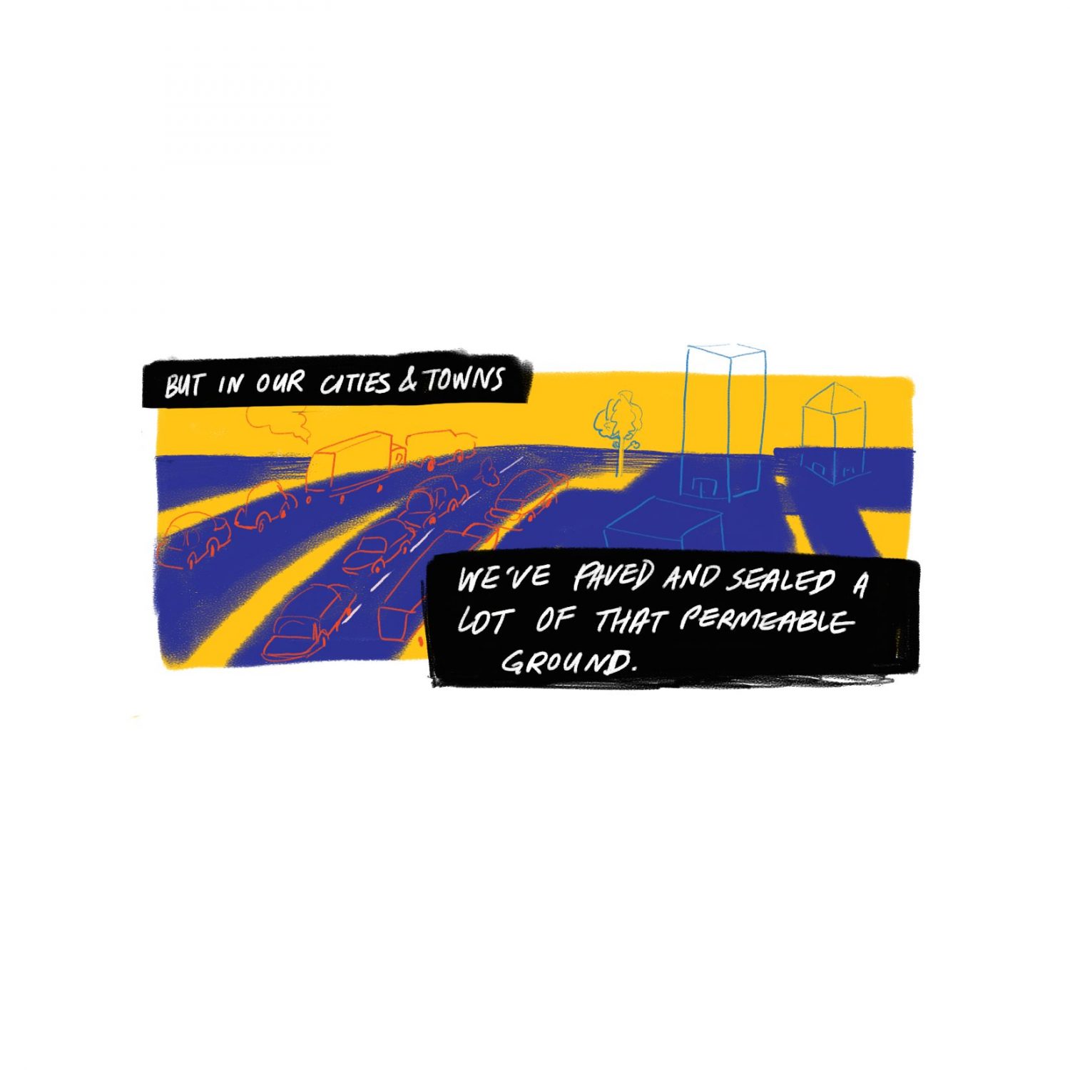 Stormwater & Transportation - Washington Conservation Action