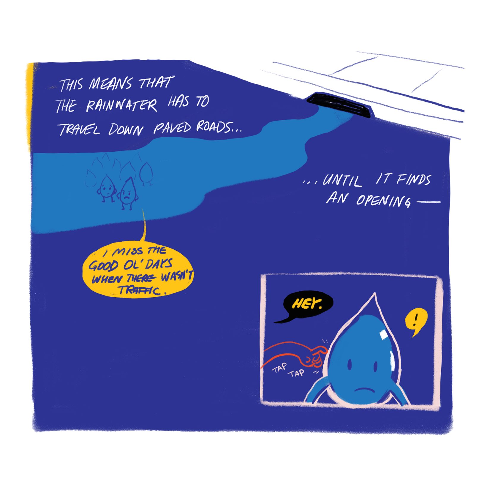 Stormwater & Transportation - Washington Conservation Action