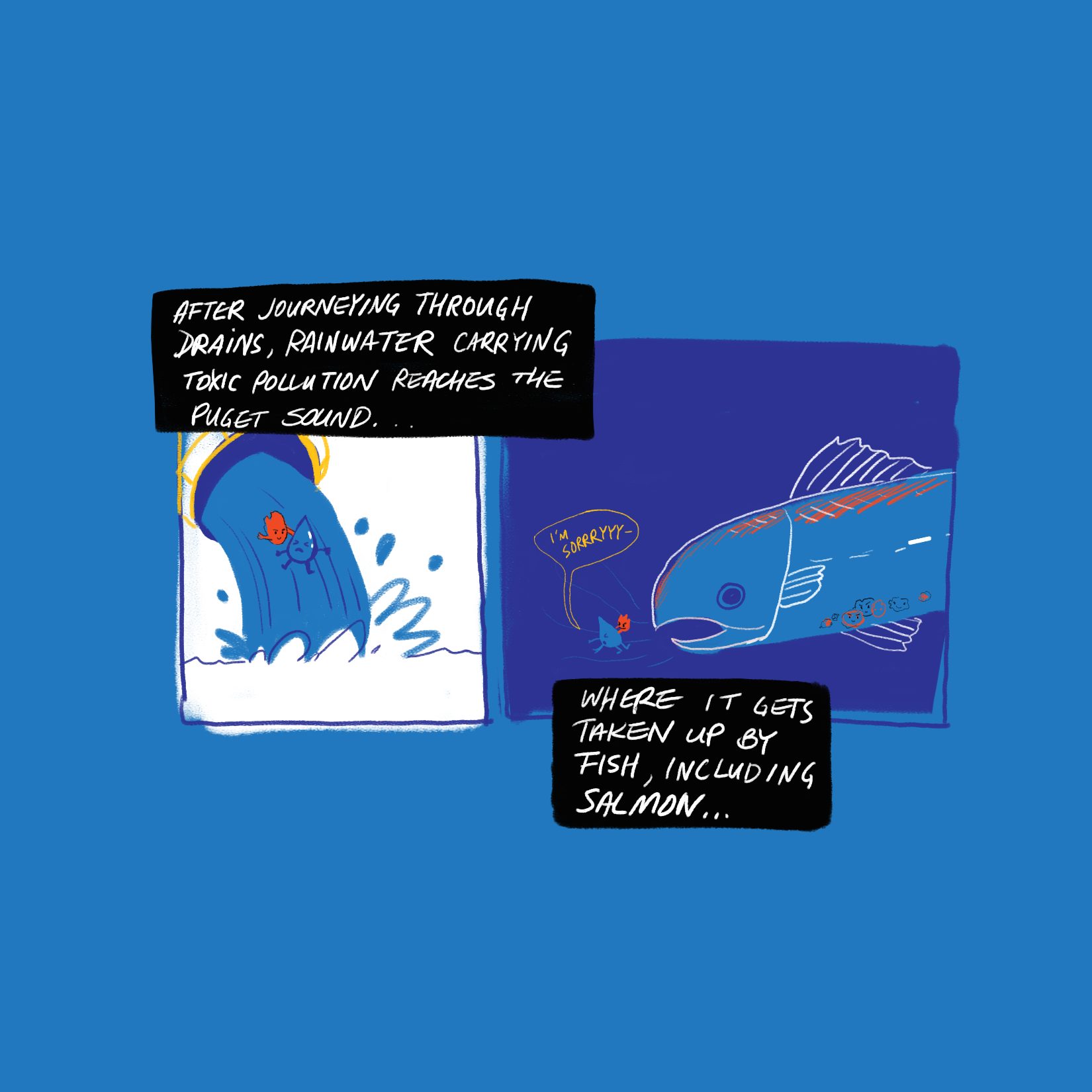 Stormwater & Transportation - Washington Conservation Action