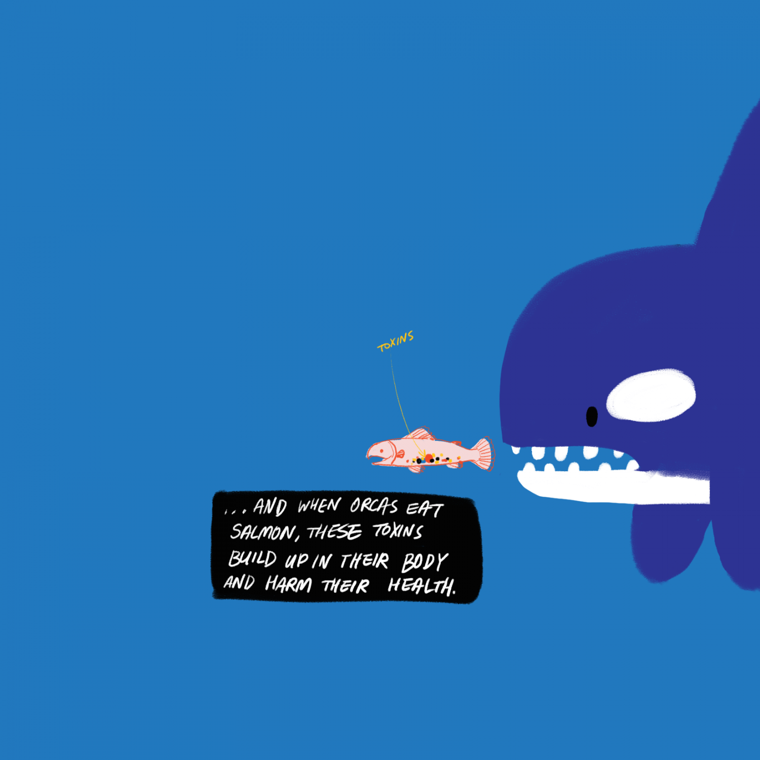 Stormwater & Transportation - Washington Conservation Action