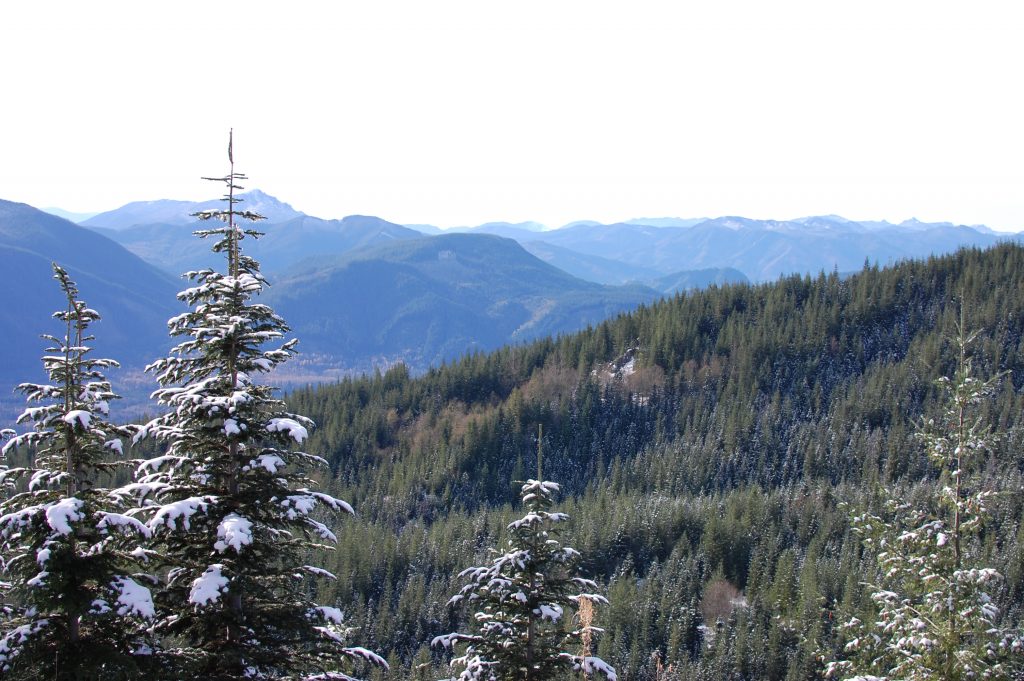 Take Action - Washington Conservation Action