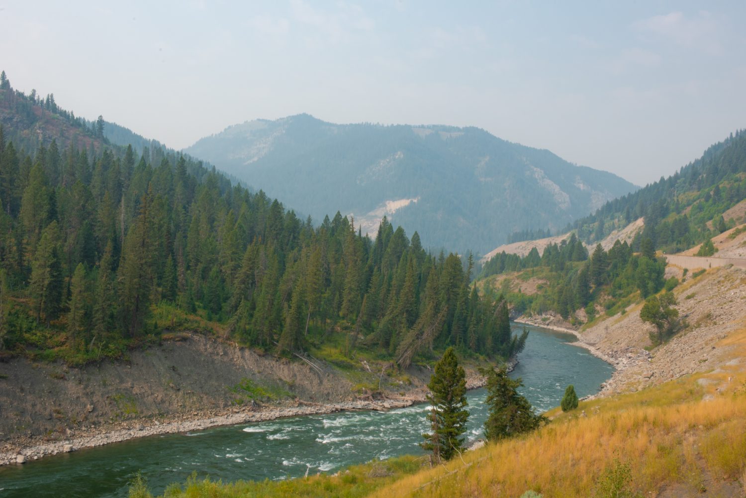 Get Involved - Washington Conservation Action