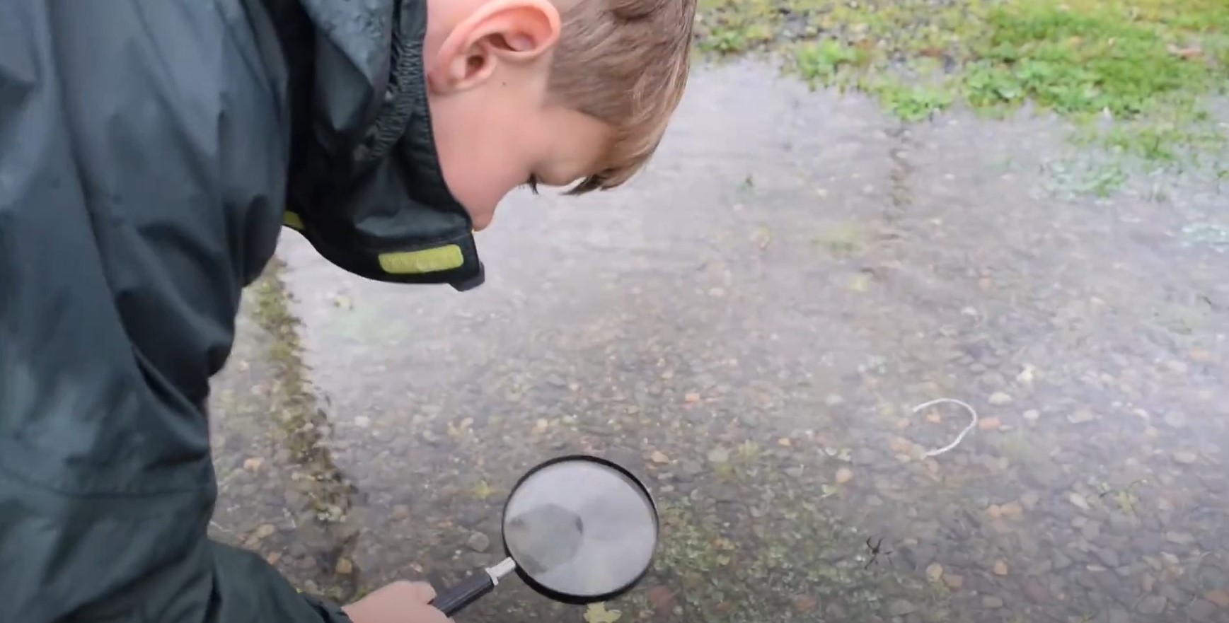 Stormwater Videos - Washington Conservation Action