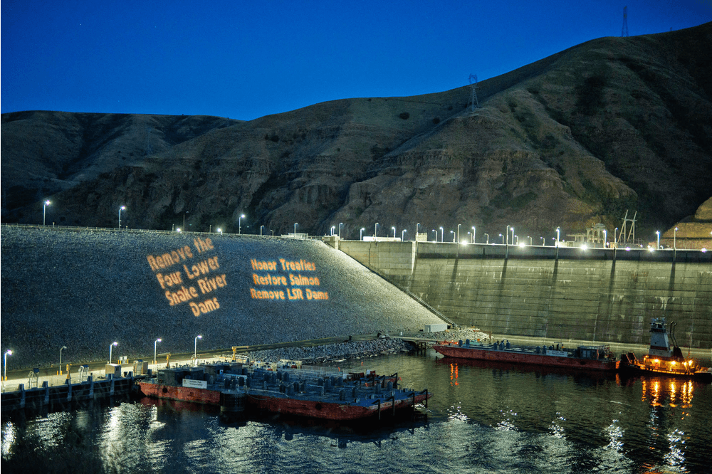 Our letter to Governor Inslee and Senator Murray on Lower Snake River ...