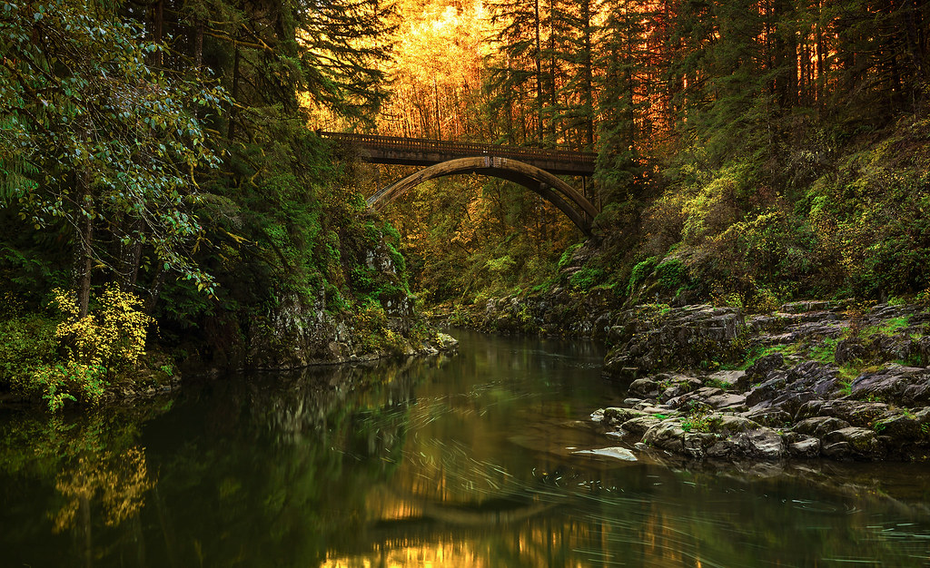Urge Clark County, WA to Integrate Climate and Resiliency Into Its ...