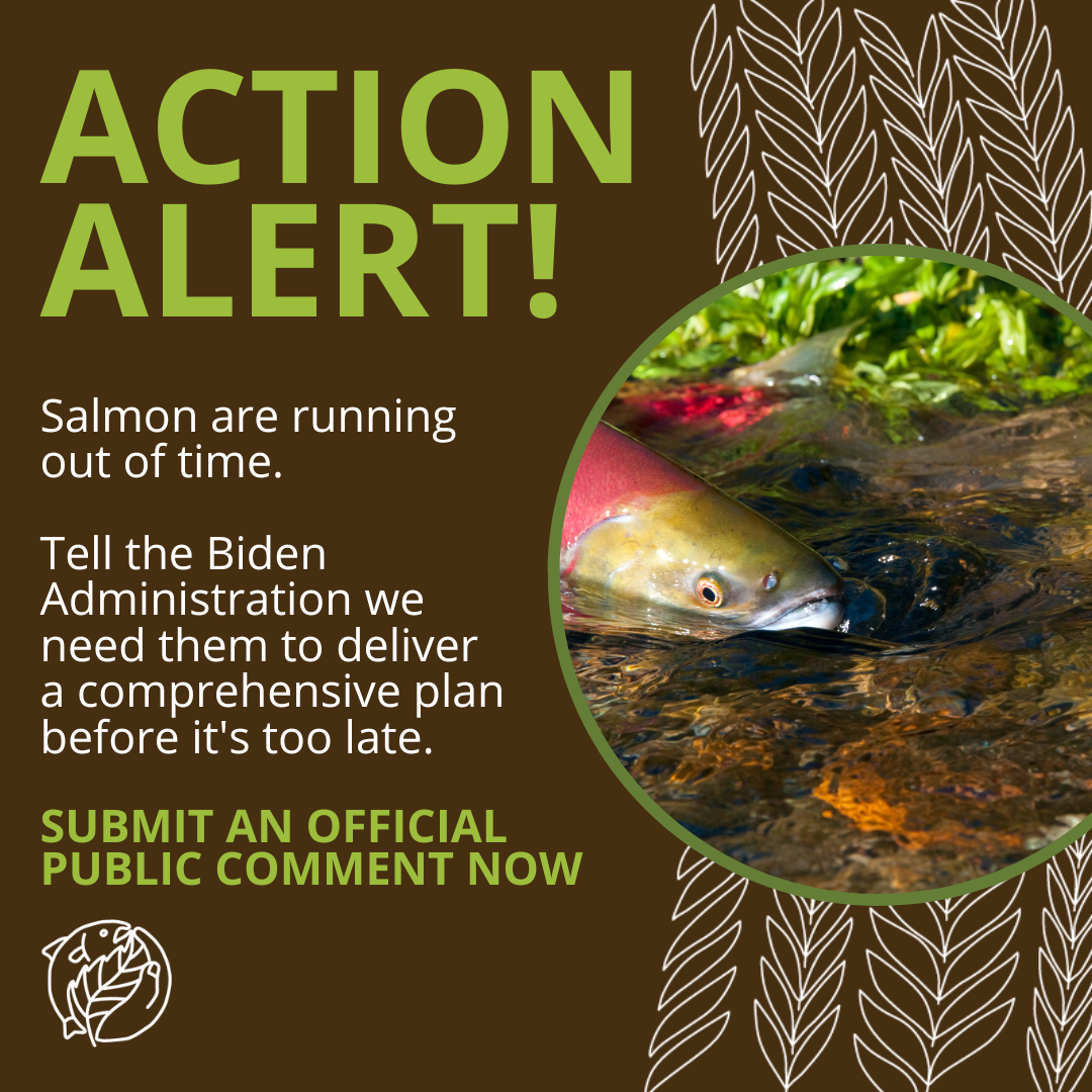 Volunteer With Us - Washington Conservation Action