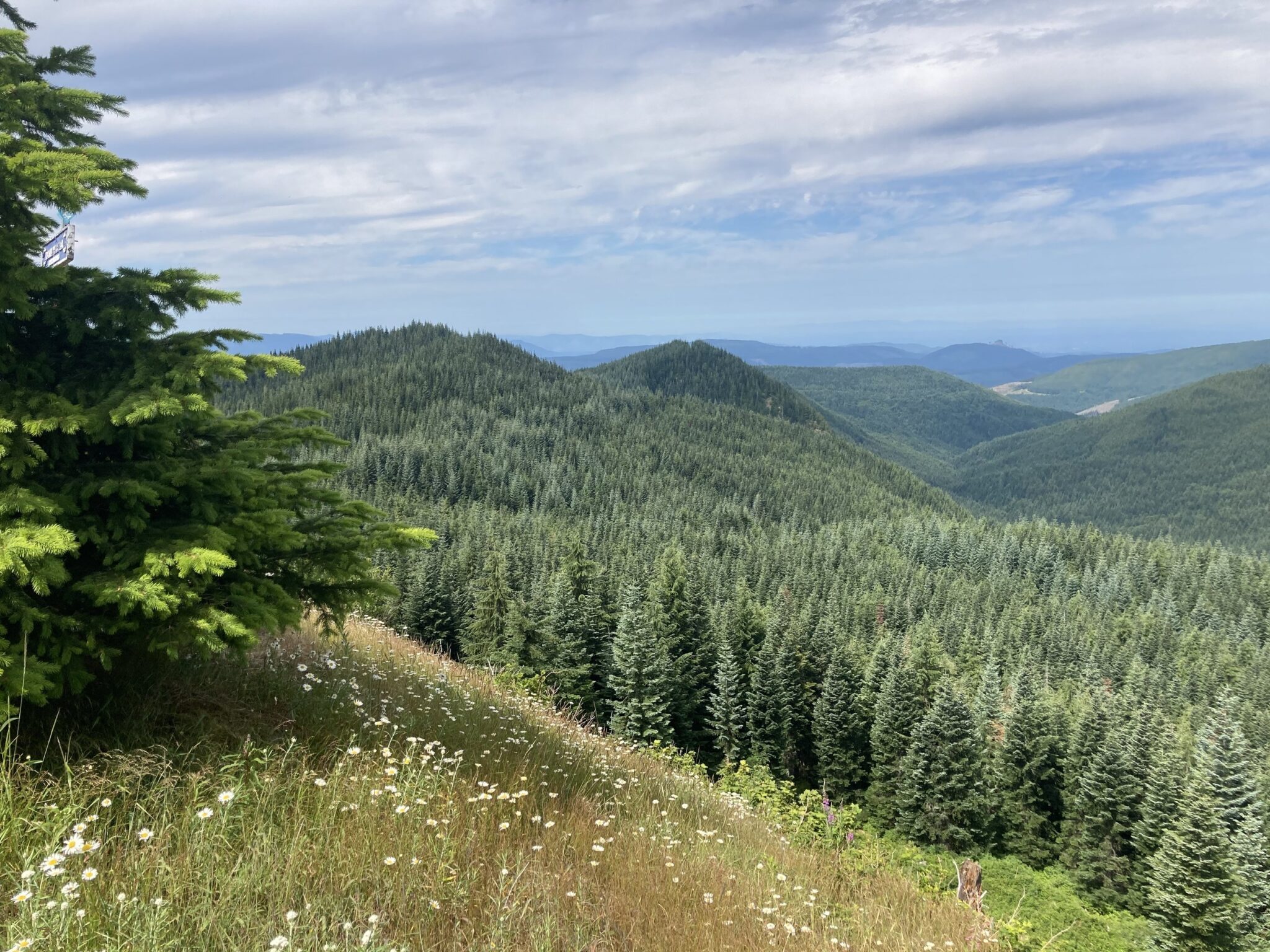 Archives: Victories - Washington Conservation Action