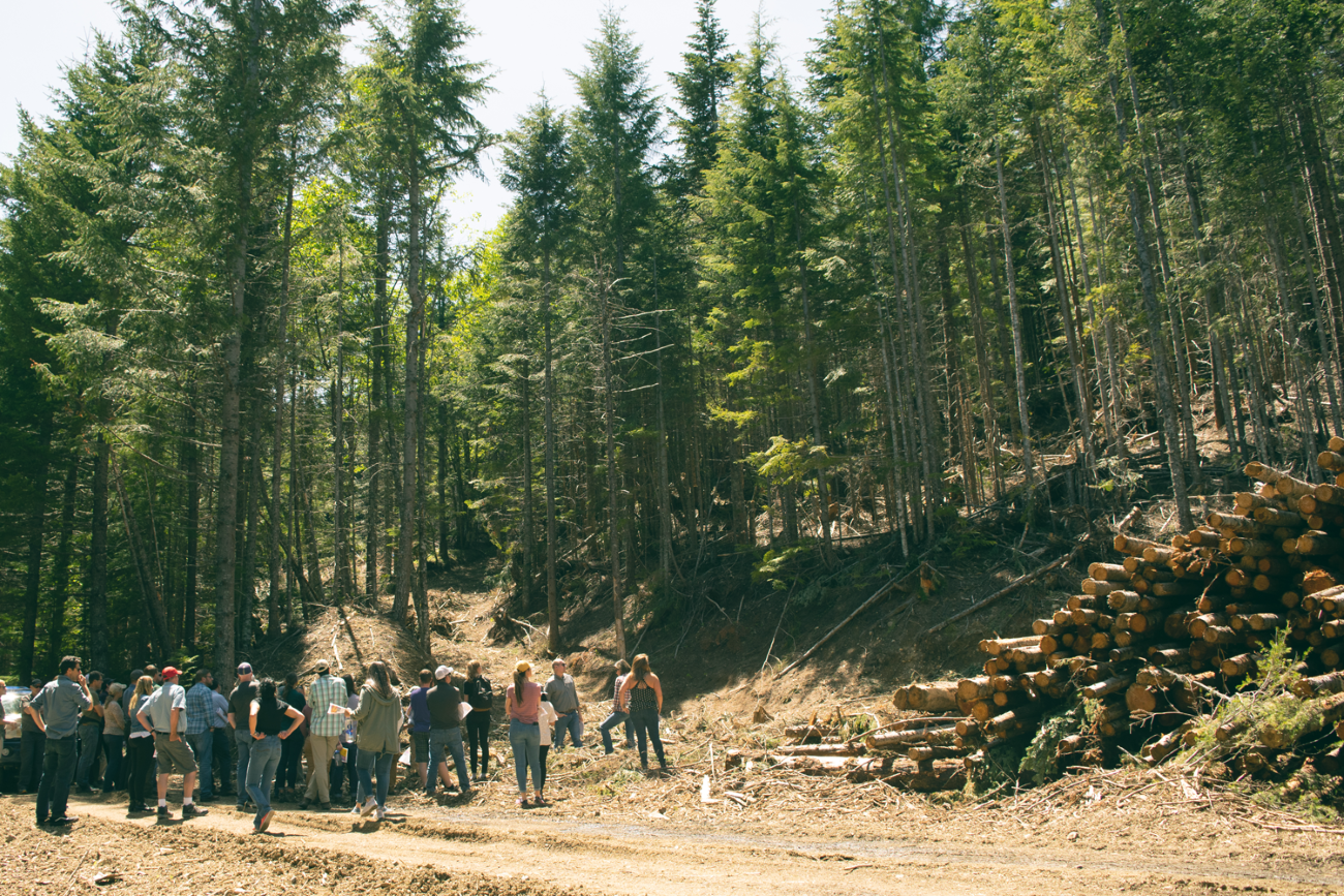 Evergreen Forests - Washington Conservation Action