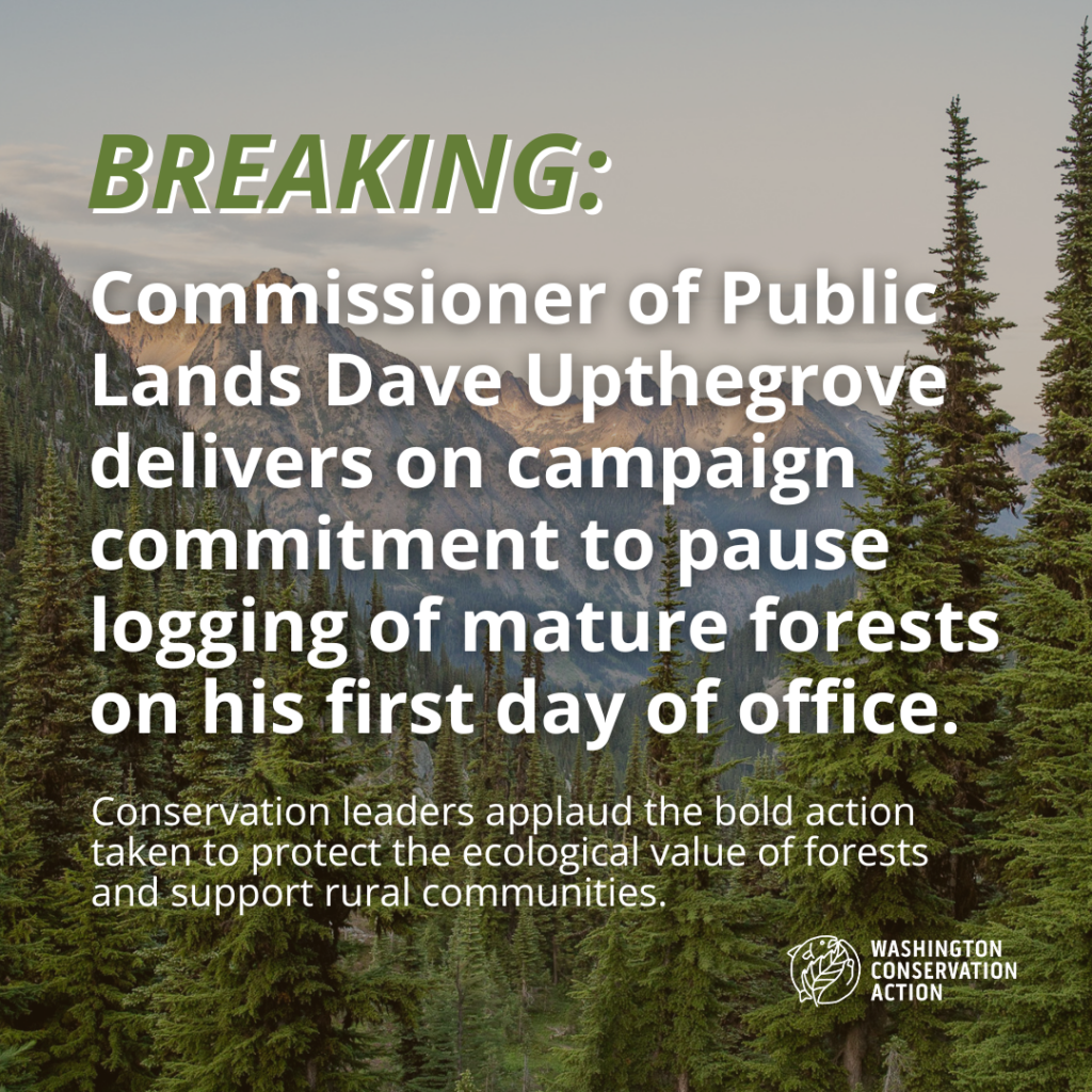Evergreen Forests - Washington Conservation Action