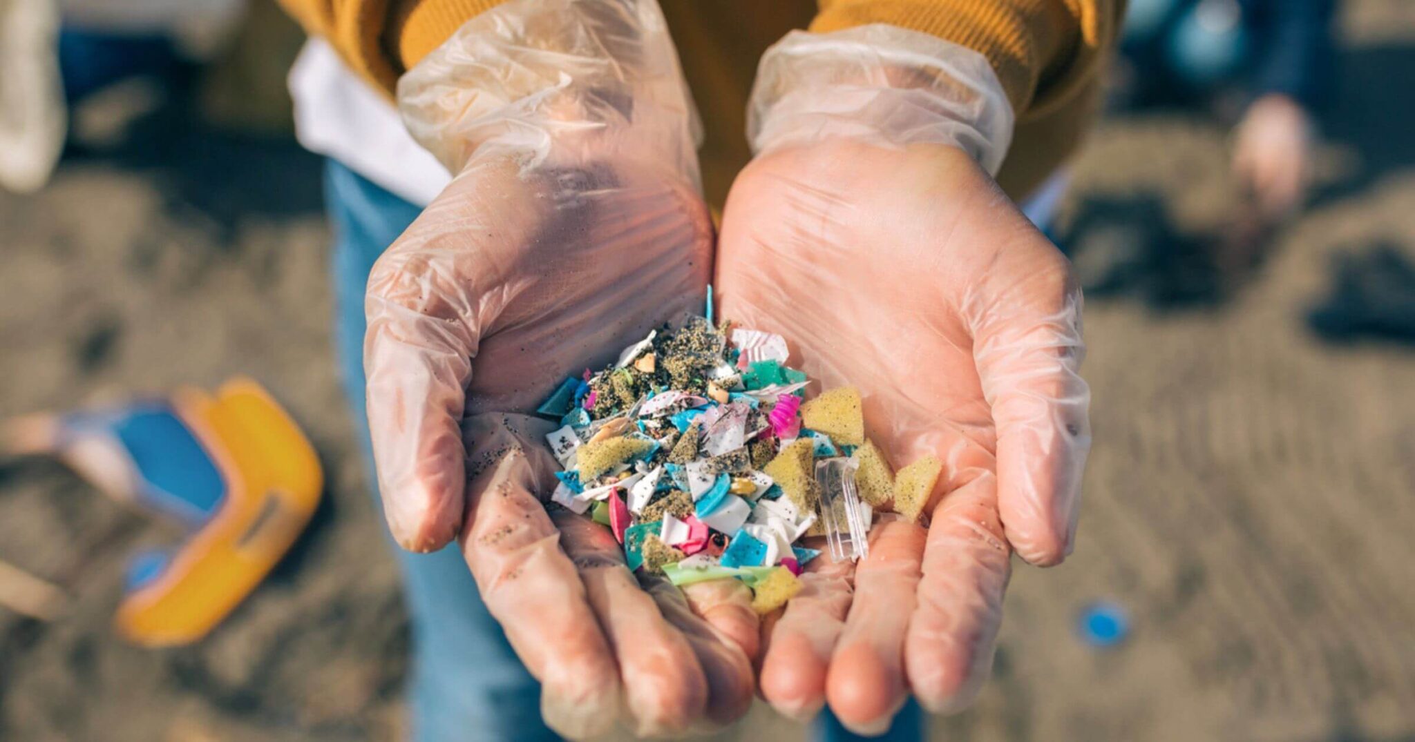 Puget Sound - Washington Conservation Action