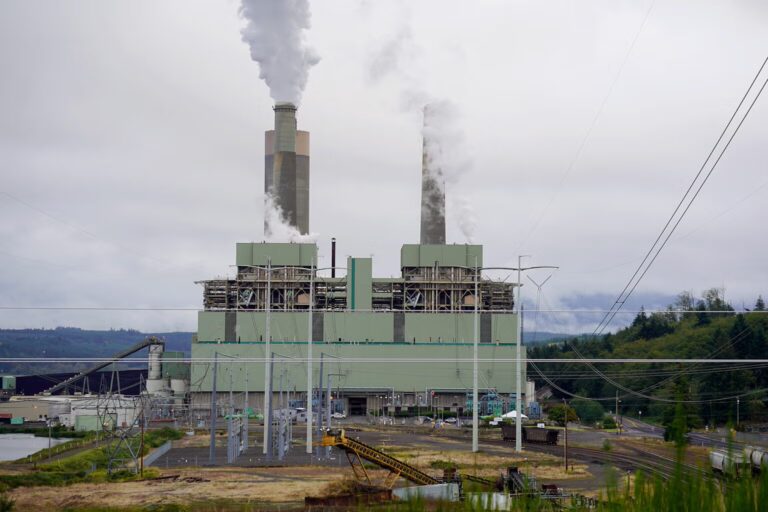 WCA Statement on Accountability for DHS - Washington Conservation Action